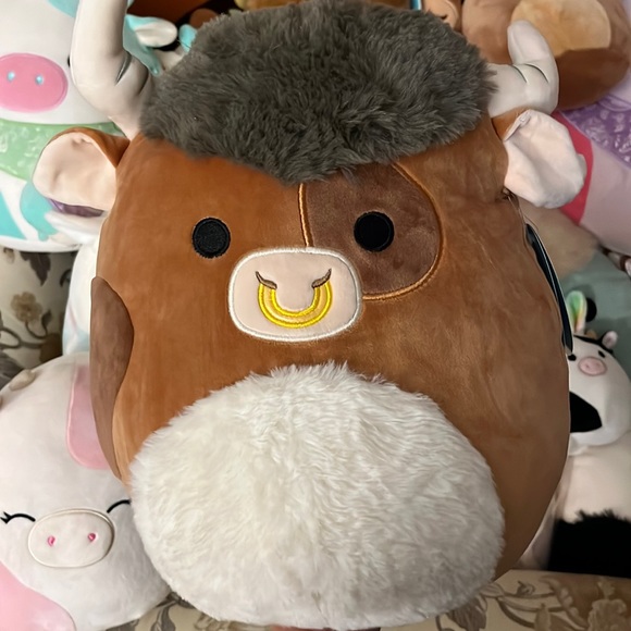 Squishmallows | Toys | Squishmallows Shep The Brown Bull 1 Bnwt | Poshmark